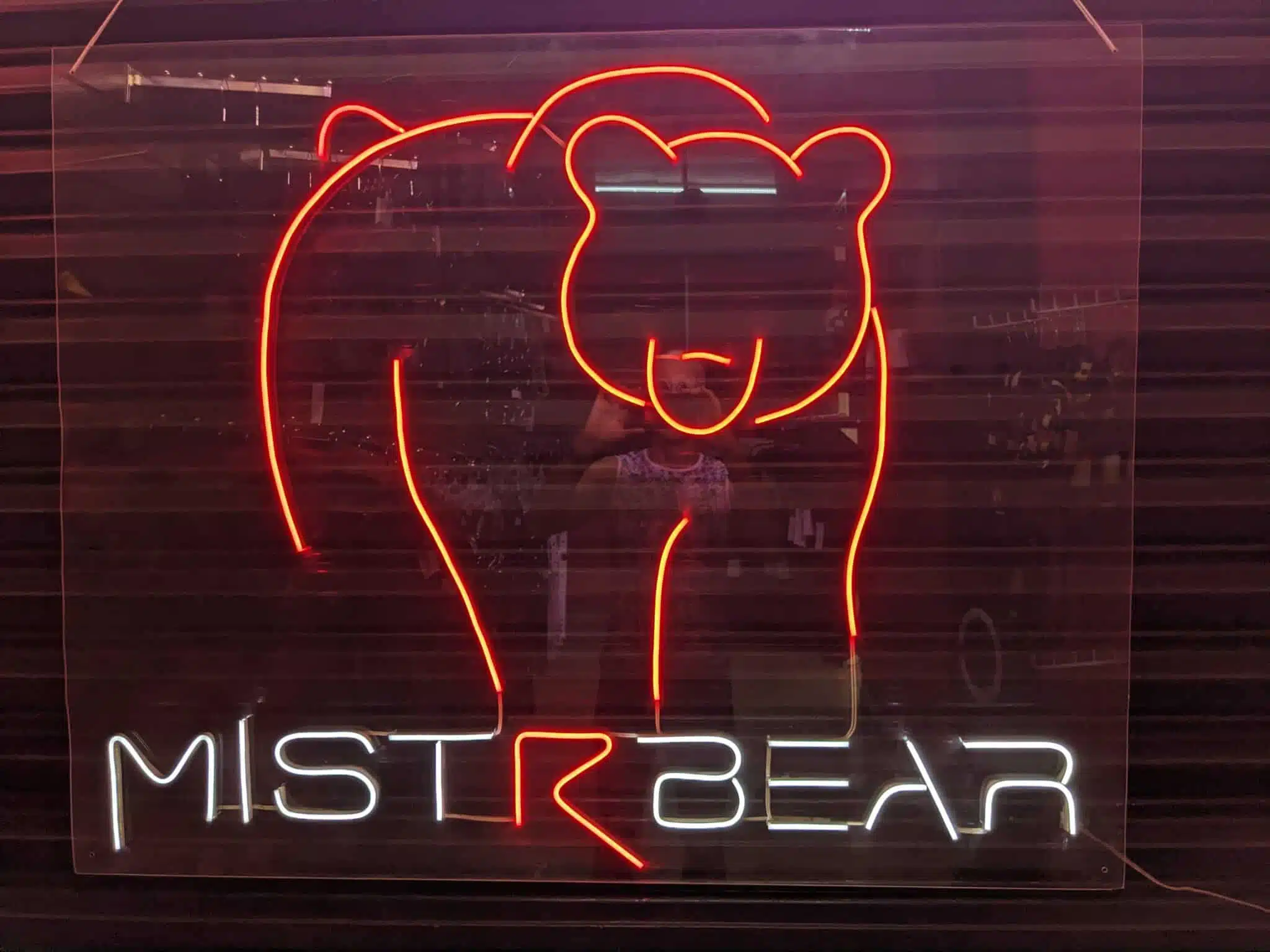 MISTRBEAR & CO se expande a Puerto Vallarta, ofreciendo ropa, arte y más